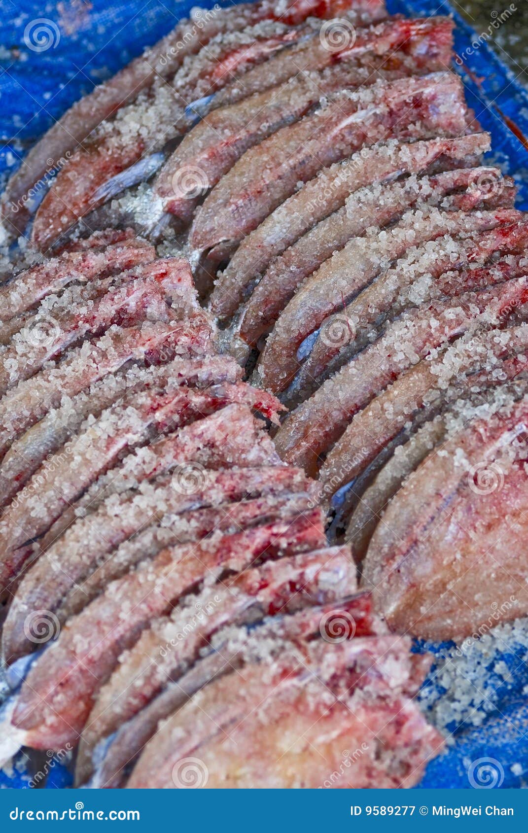 Making of Salt Fish stock image. Image of asia, making - 9589277