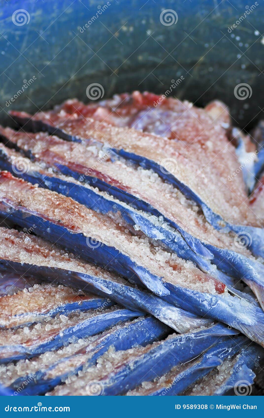 Making of Salt Fish stock photo. Image of fish, chinese - 9589308