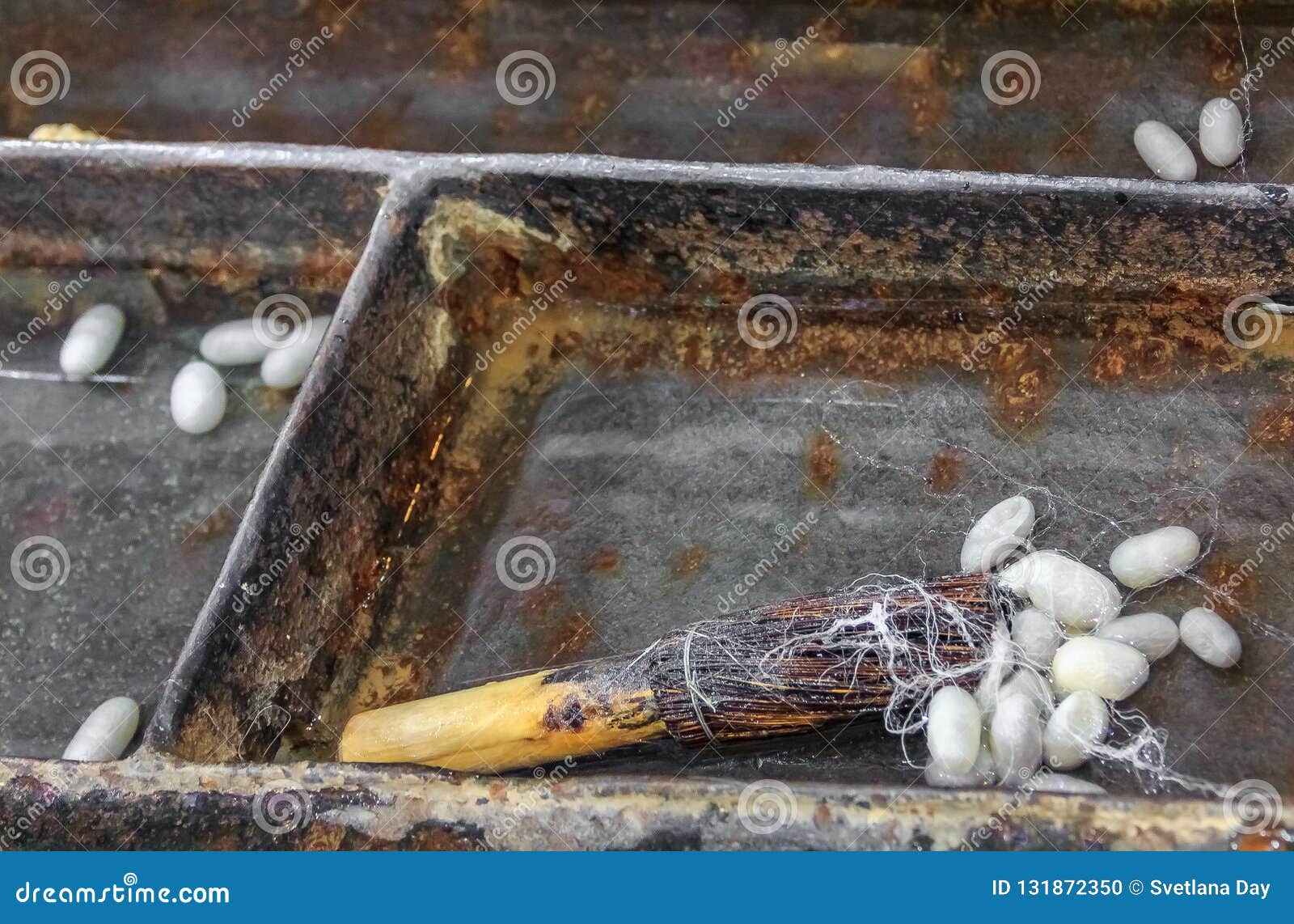 Making Silk Thread by Hand from Silk Warm Cocoons in a Pan with Stock ...