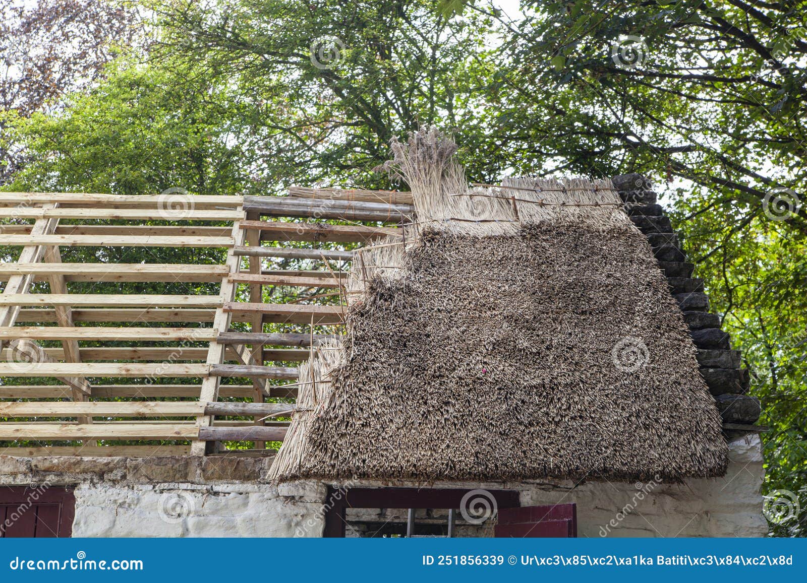 Making of thatched roof stock image. Image of agriculture - 251856339