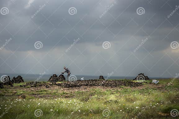 Making a Turf Stack in Ireland Editorial Image - Image of farm, digging ...