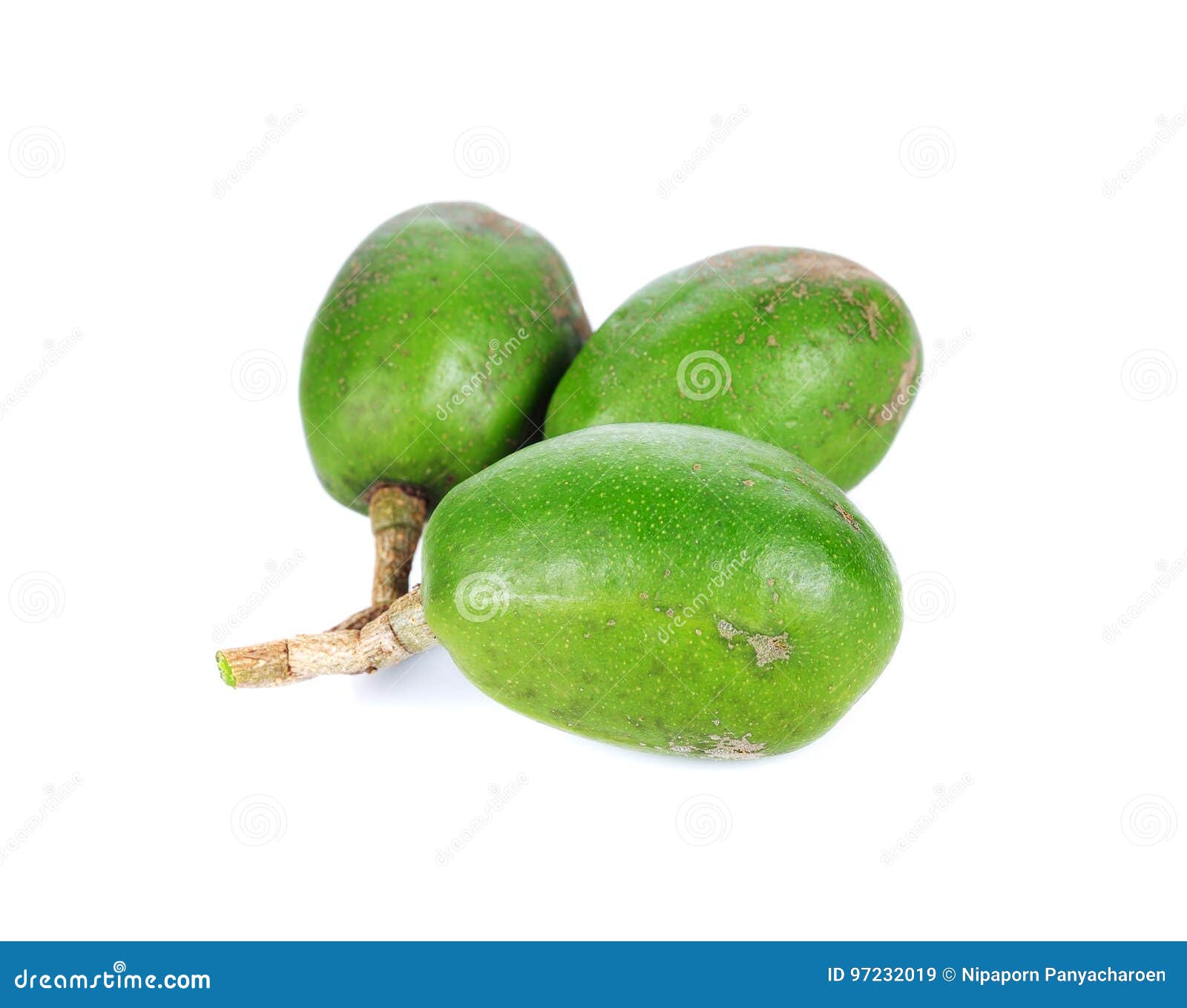 Makok or Olive Fruit in Thailand Stock Image - Image of white, tropical ...