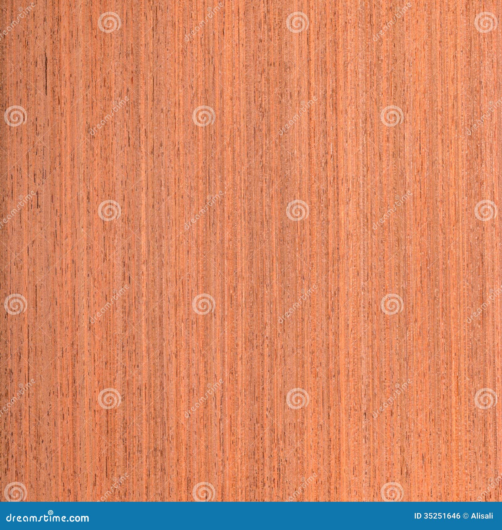 Makore wood veneer stock photo. Image of pattern, ebony - 35251646