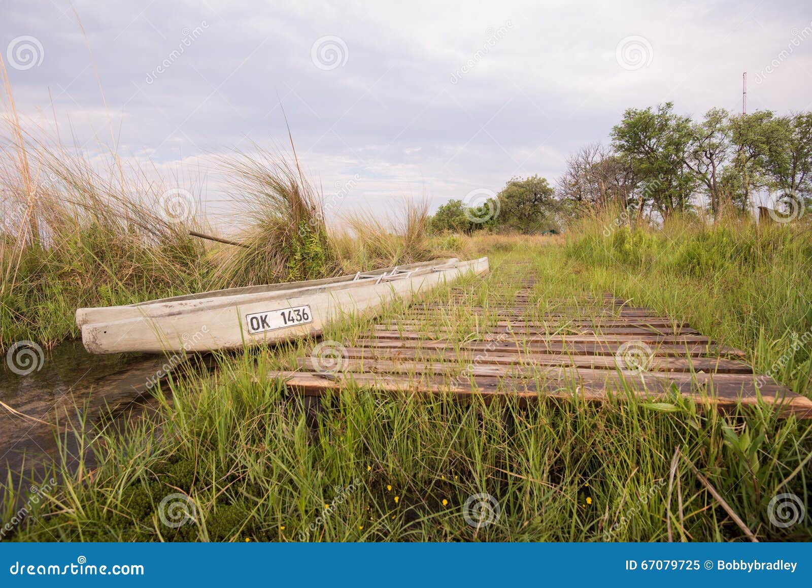 Makoro Dock In Okavango Delta Stock Image | CartoonDealer.com #67079725