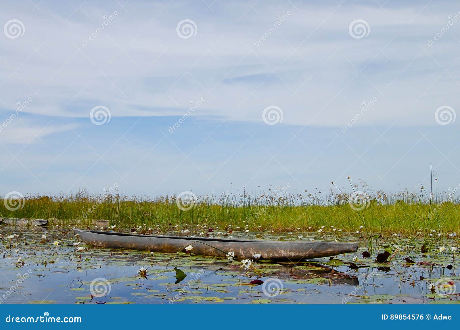Makoro - Okavango Delta - Botswana Stock Photo - Image of nature ...