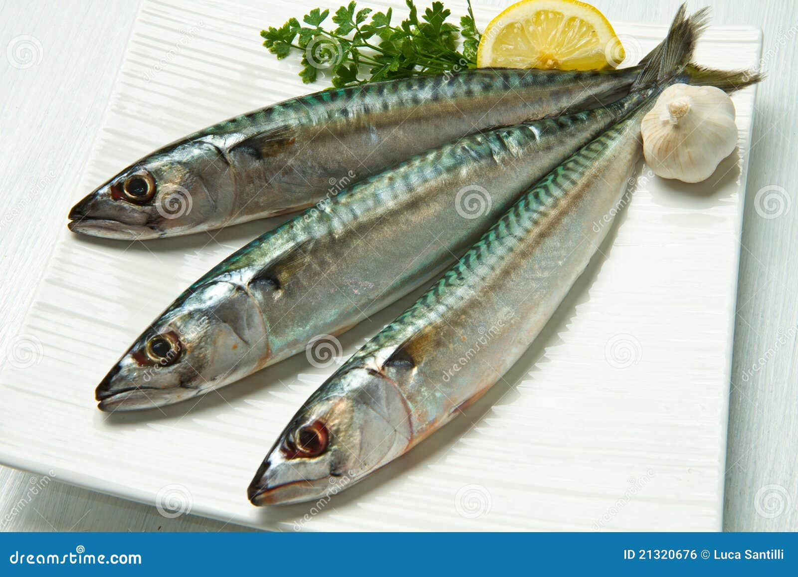 Makreel stock foto. Image of vers, voedsel, oceaan, zeevruchten - 21320676