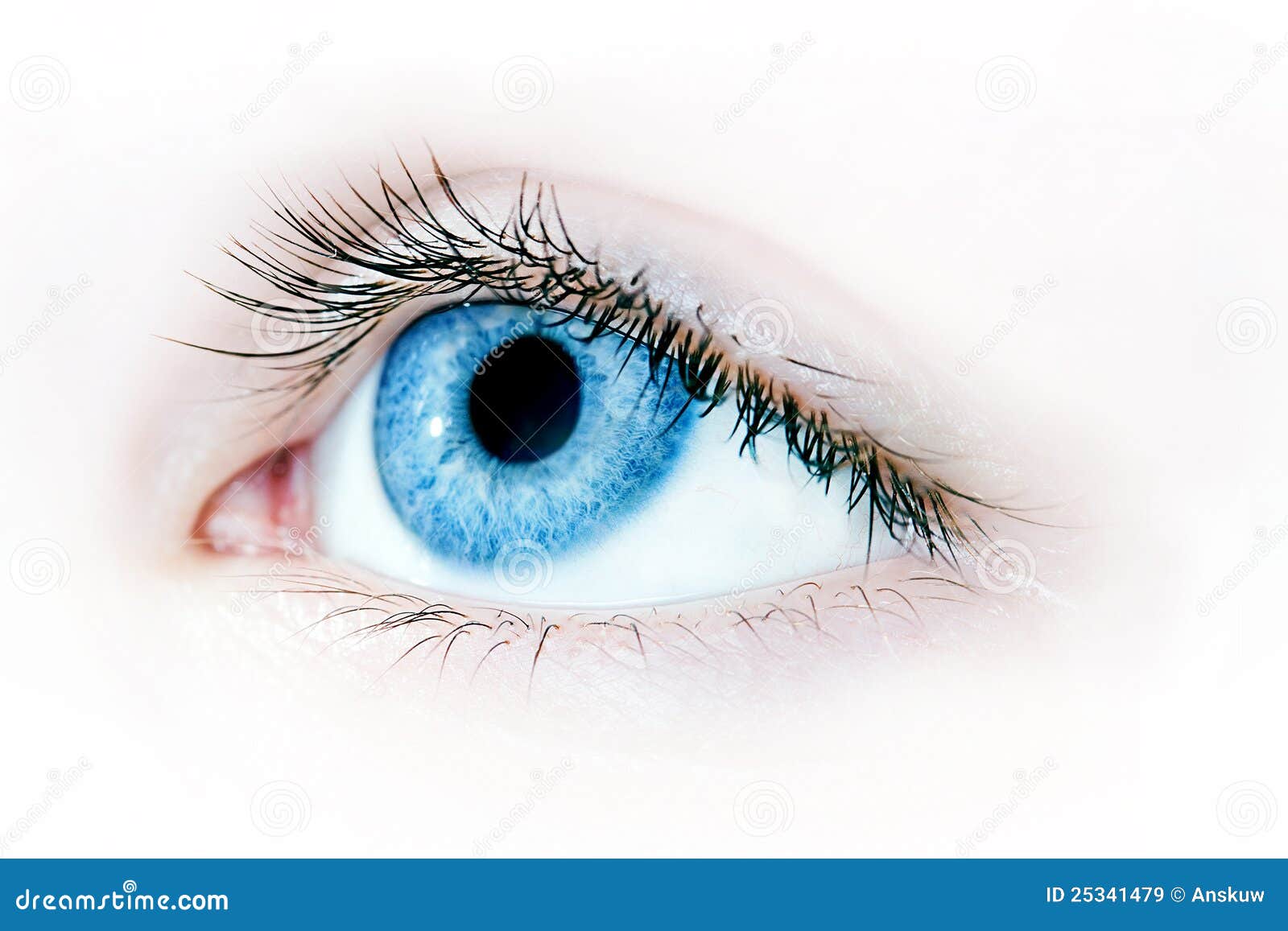 Makro des blauen Auges stockbild. Bild von optik, inspiration - 25341479