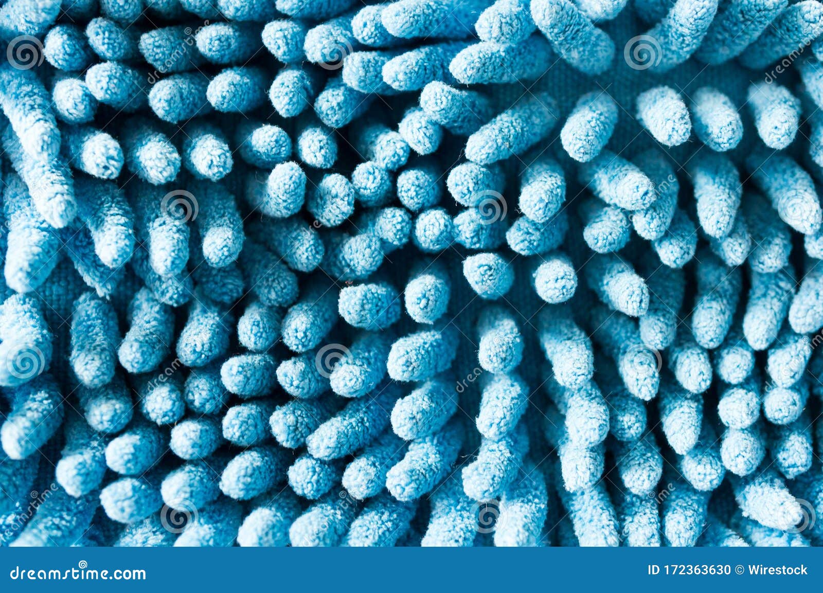 Makrophotographie Eines Blauen Mops Unter Den Lichtern Stockfoto - Bild ...