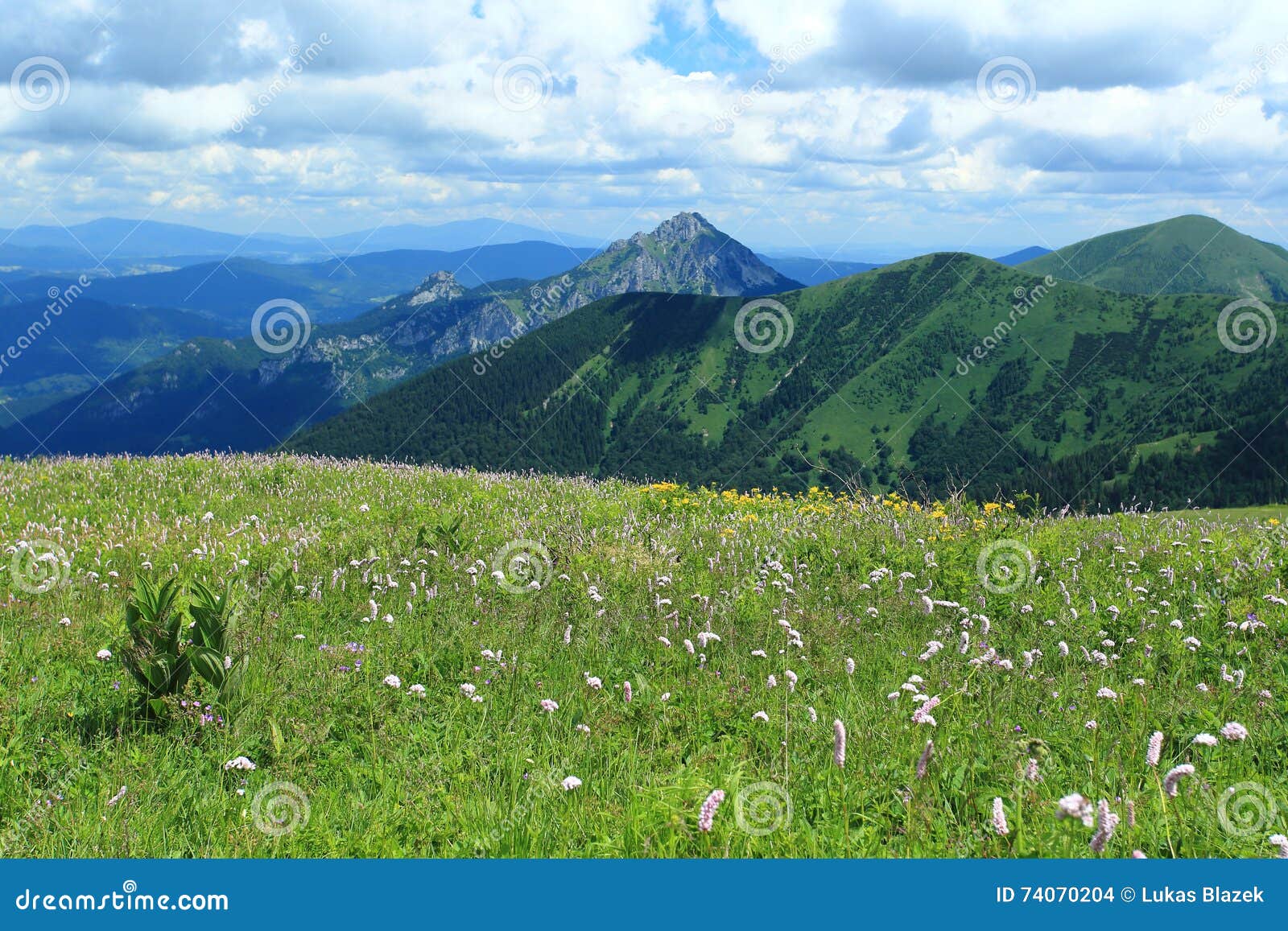 Mala Fatra stock foto. Image of minste, installatie, groen - 74070204