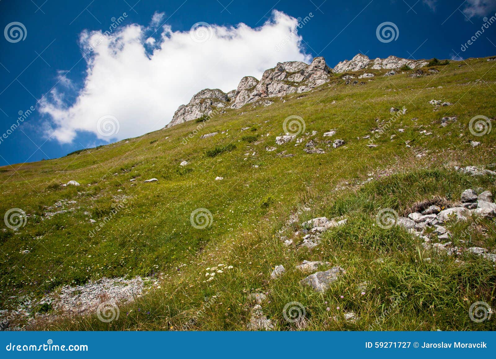 Mala Fatra, Slovakia stock image. Image of green, hill - 59271727
