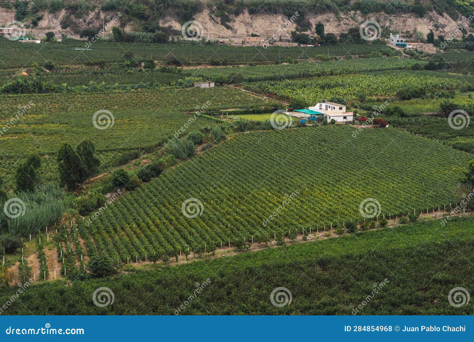 Mala River Valley in Lima Peru Stock Photo - Image of people, valley ...