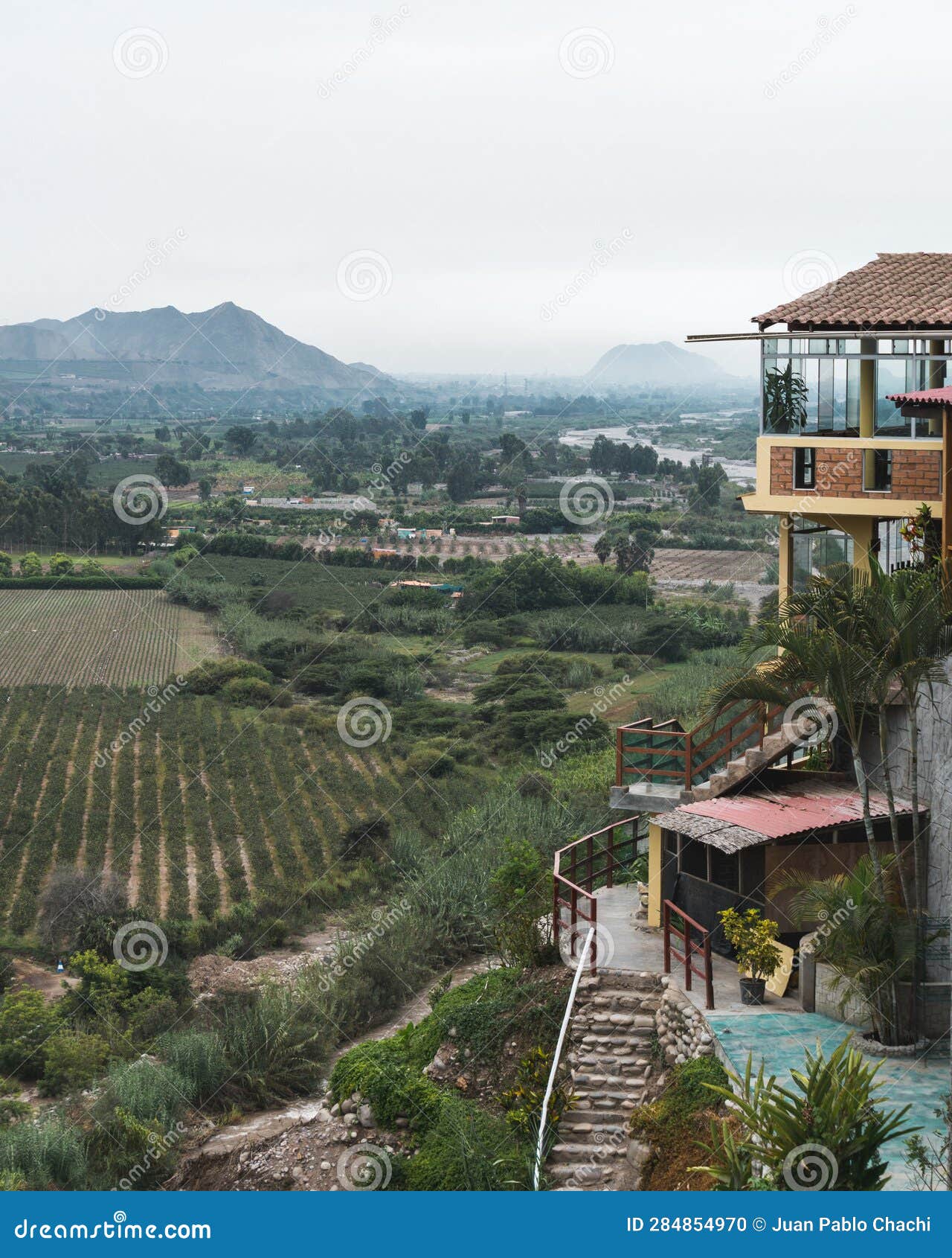 Mala River Valley in Lima Peru Stock Photo - Image of valley, trees ...
