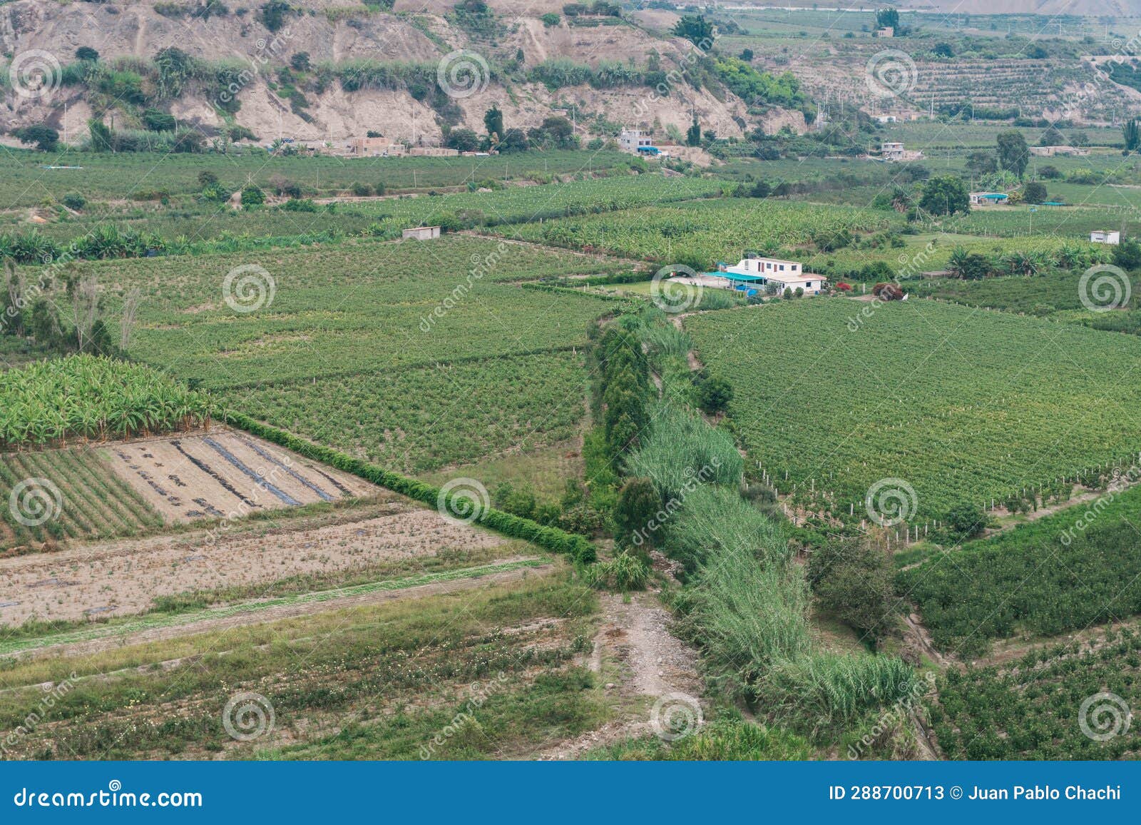 Mala River Valley in Lima Peru Stock Image - Image of azpitia, lima ...