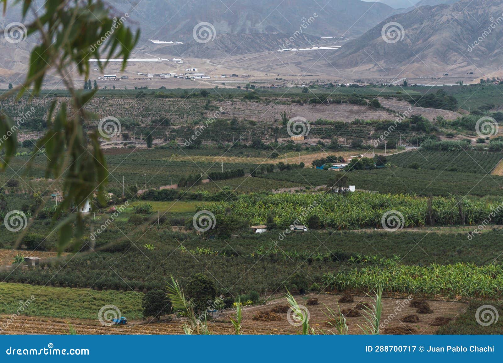 Mala River Valley in Lima Peru Stock Image - Image of panoramic, nature ...