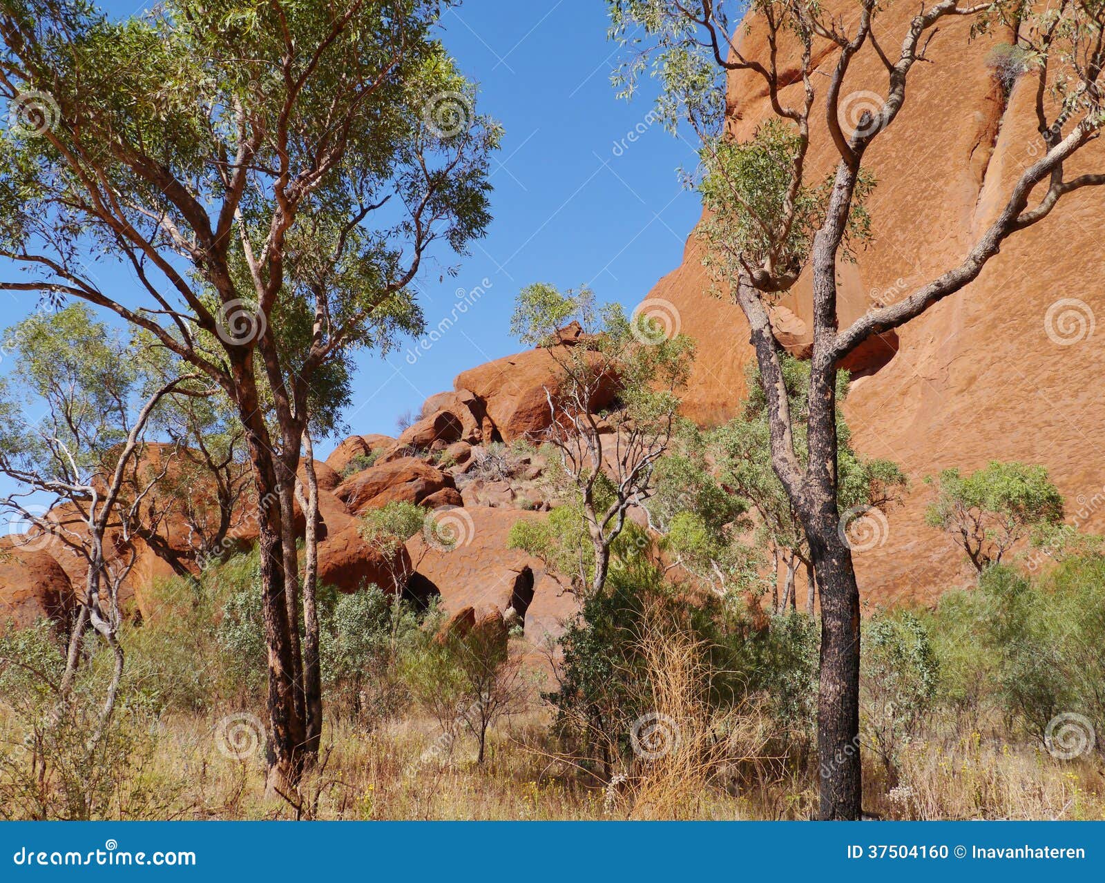 The Mala Walk at Ayers Rock Editorial Image - Image of outback, rocks ...