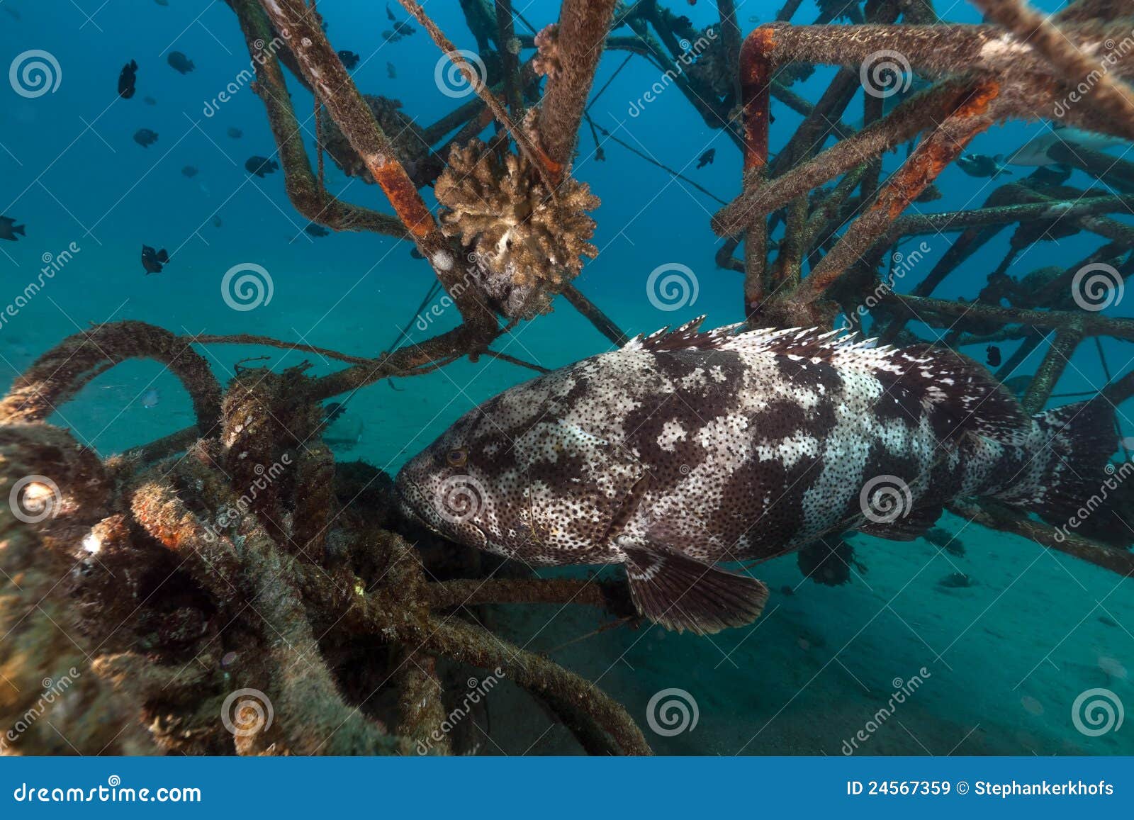 Artificial Reef Sea Defence System Royalty-Free Stock Image ...