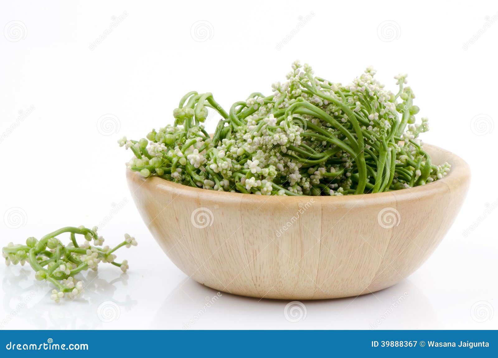 Malabar Spinach or Ceylon Spinach (Basella Alba Linn.). Stock Image ...