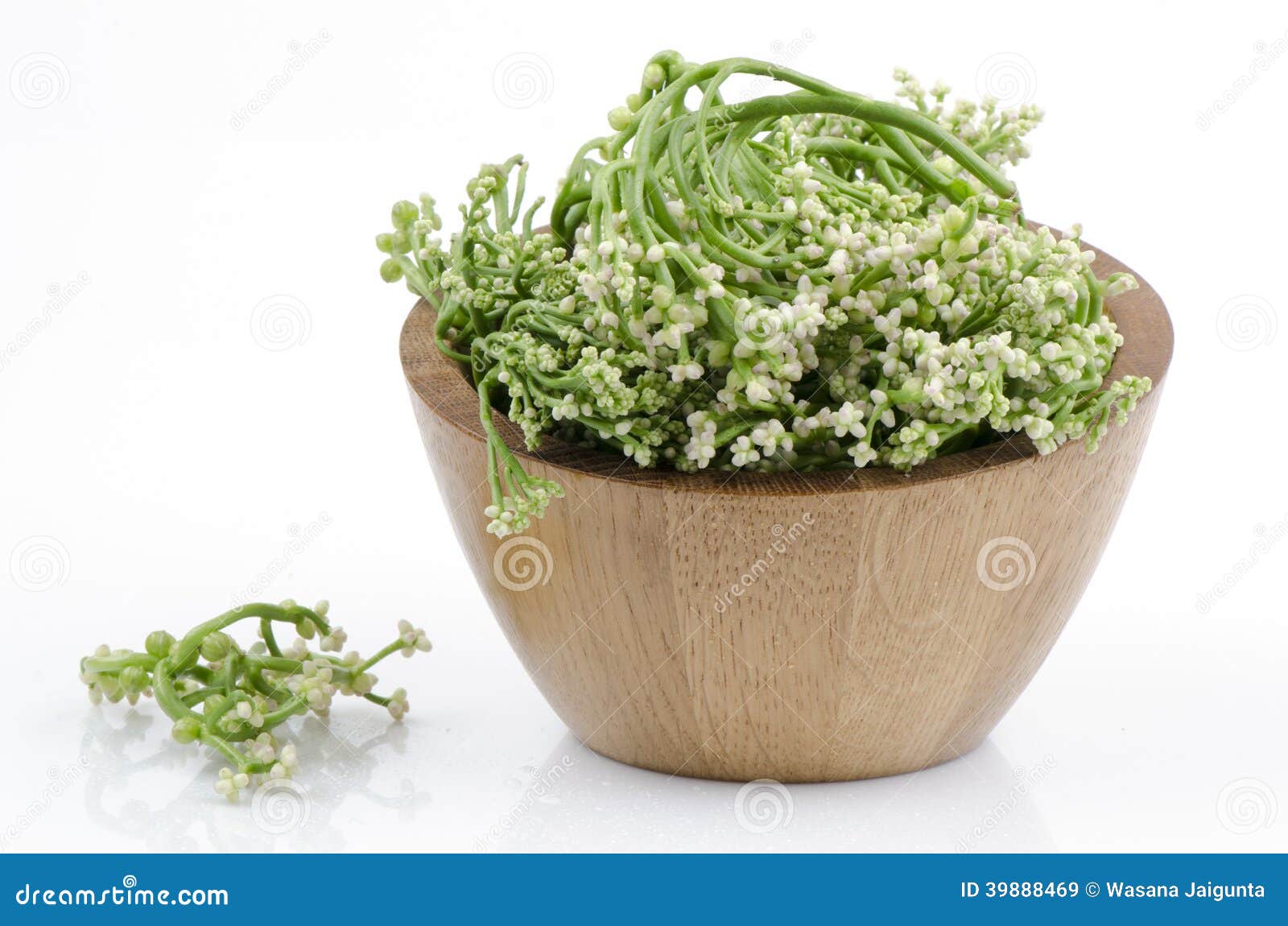 Malabar Spinach or Ceylon Spinach (Basella Alba Linn.). Stock Image ...