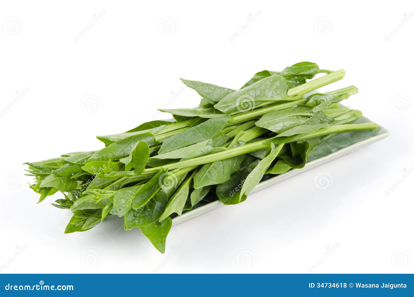 Malabar Spinach or Ceylon Spinach (Basella Alba Linn.) Stock Photo ...