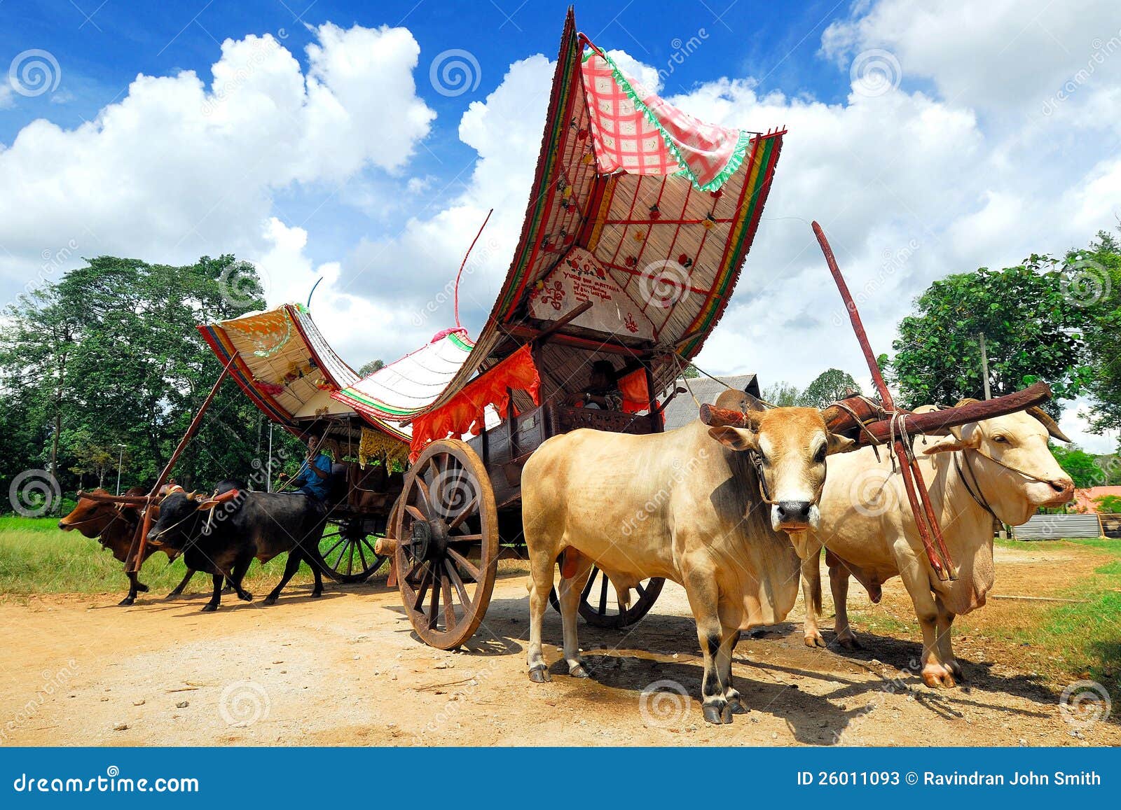 Bullock Cart Editorial Photo | CartoonDealer.com #36985453