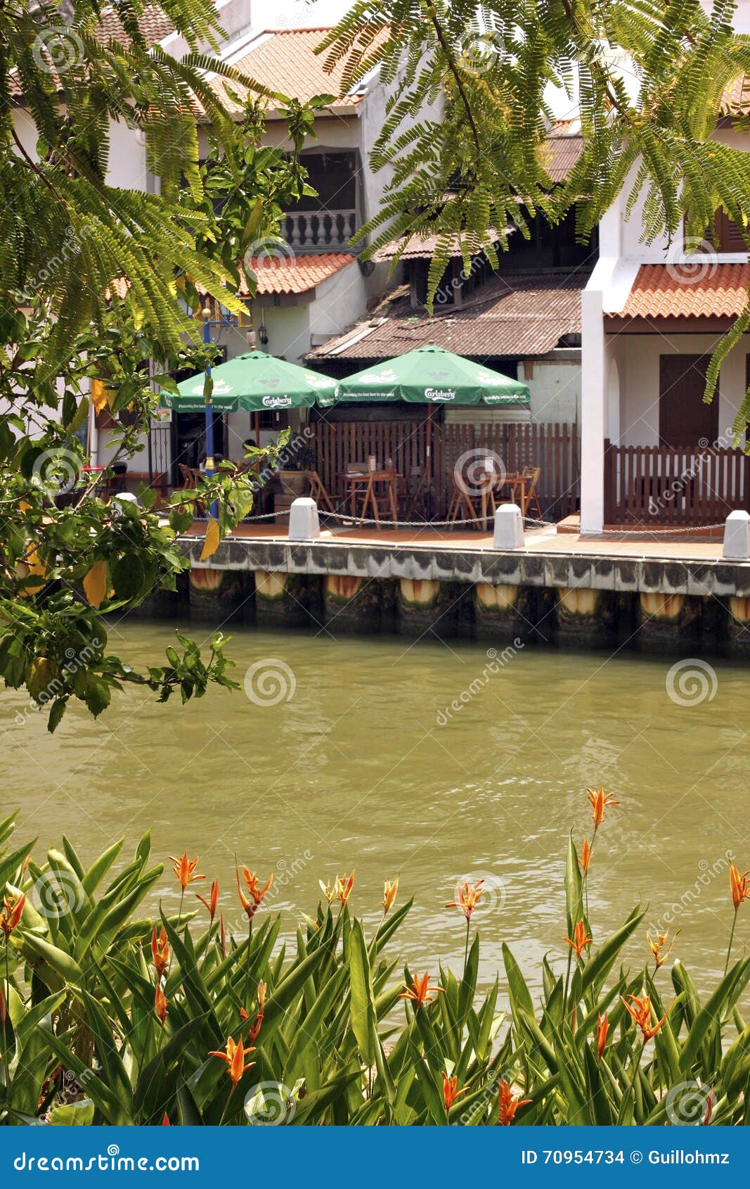 Zlong Stock Photos - Free & Royalty-Free Stock Photos from Dreamstime