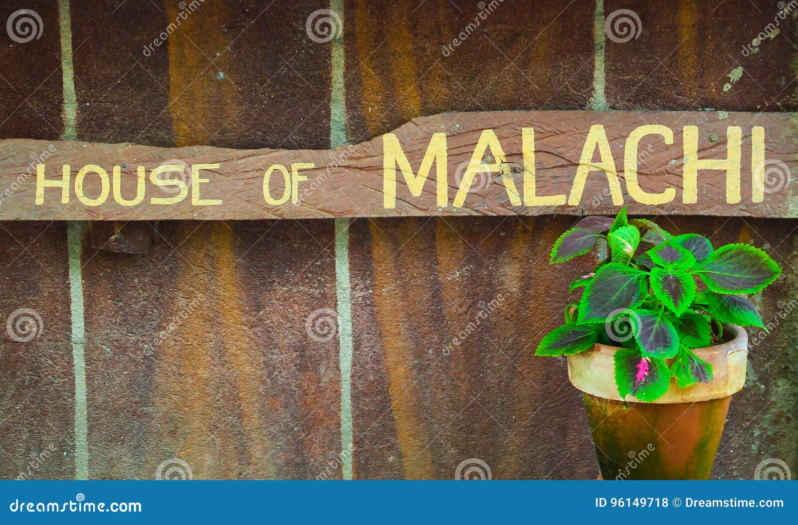 Malachi stock photo. Image of house, plant, wallpaper - 96149718