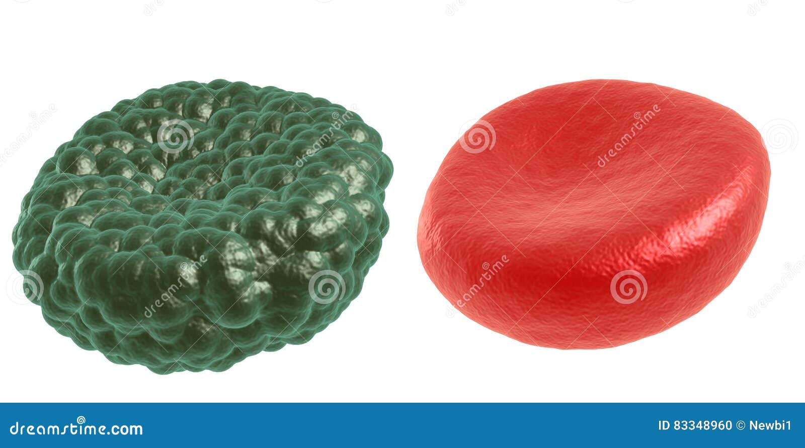 Maladie Verte Et Globule Rouge Illustration Stock - Illustration du ...