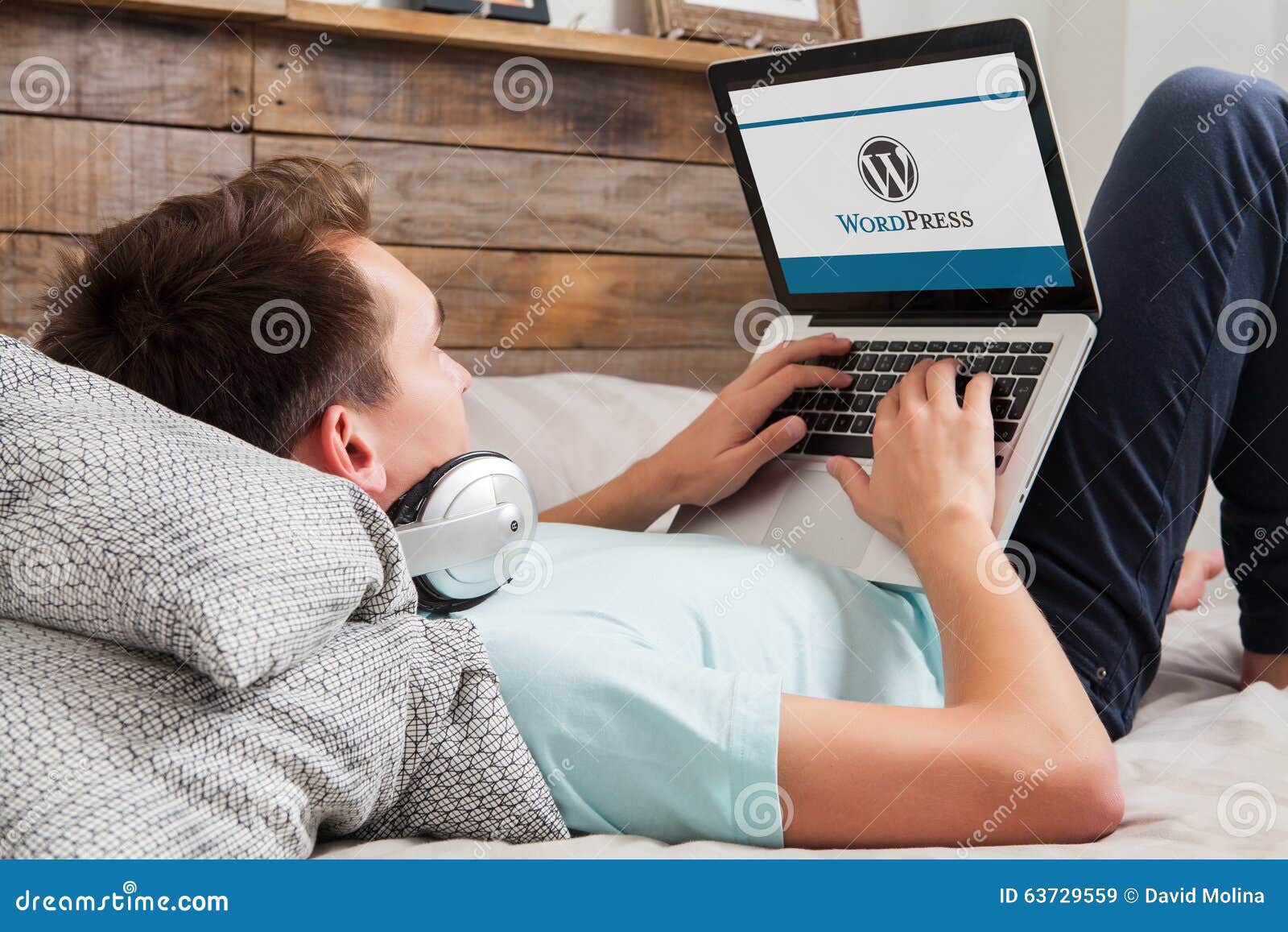 MALAGA, SPAIN - NOVEMBER 10, 2015: Wordpress Brand Logo on Computer ...