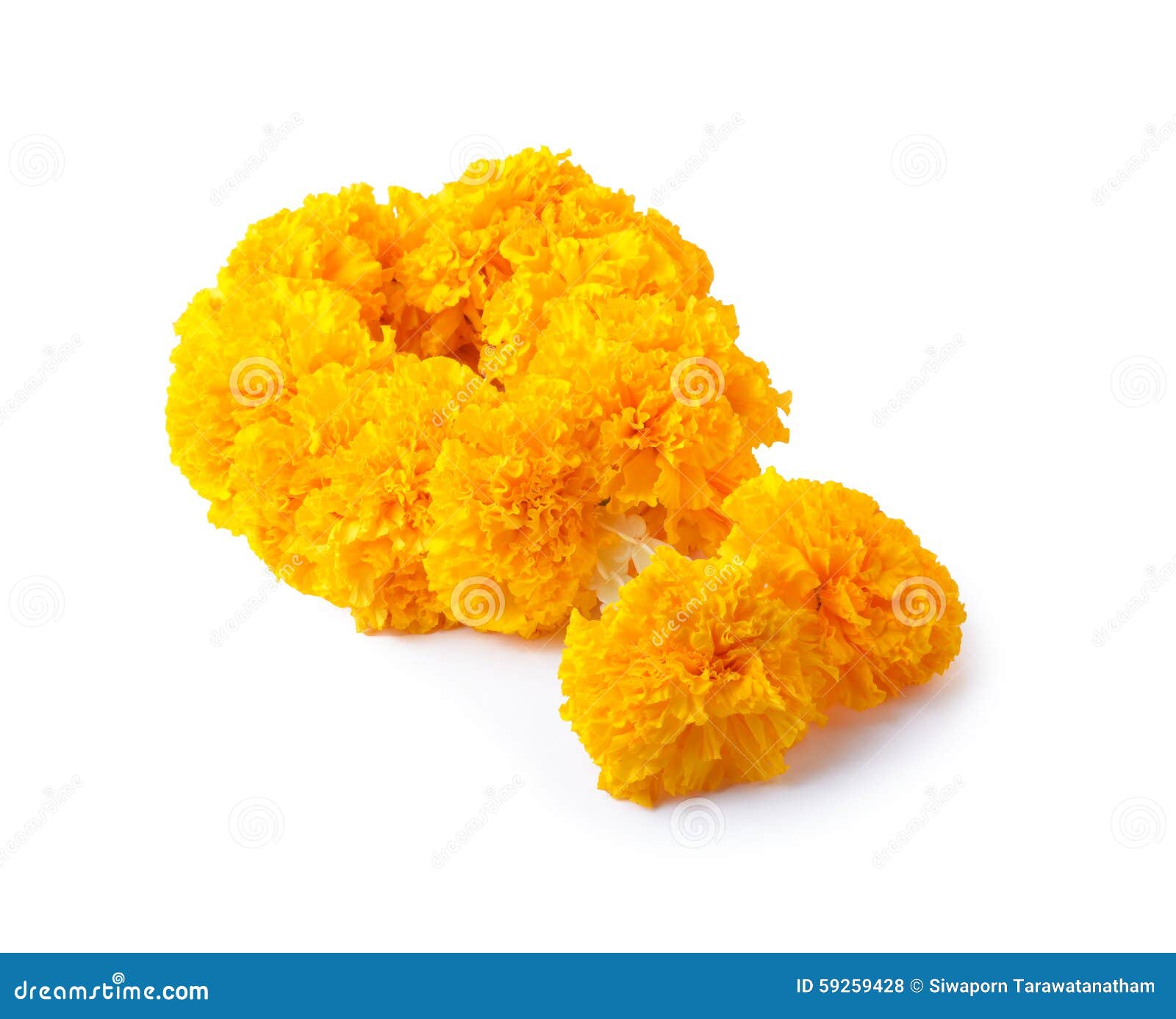 Malai the Flower in Thai Tradition Style Stock Photo - Image of white ...