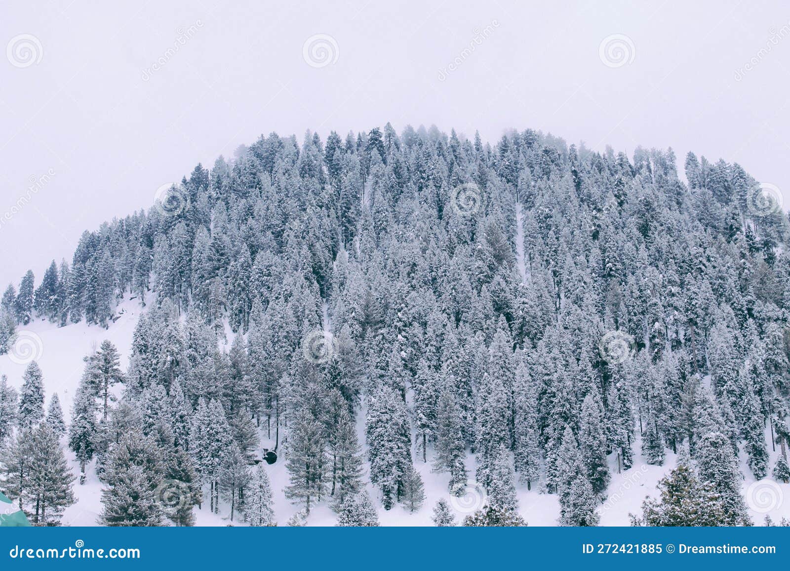 Malam Jabba and Kalam Swat Scenery Landscape Stock Image - Image of ...