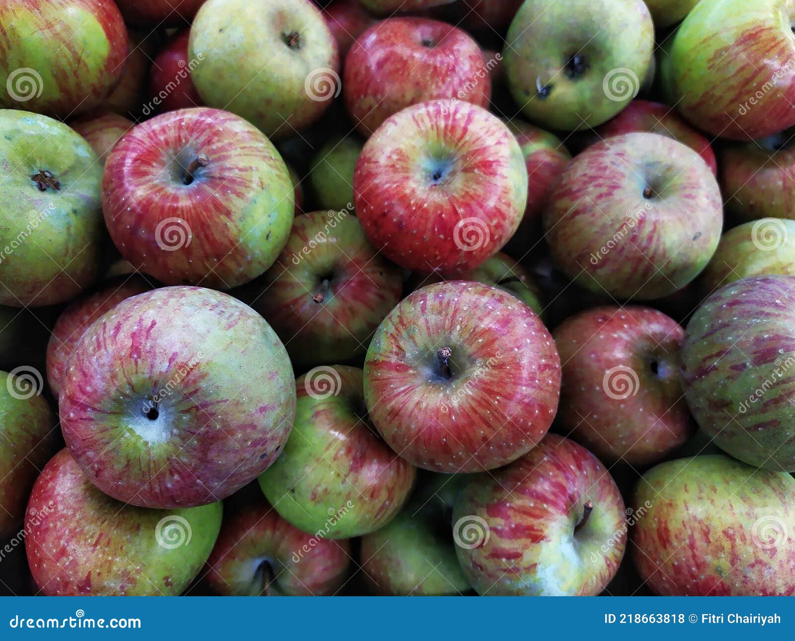 Malang Apple Fruit, a Typical Fruit from the City of Batu, Malang, East ...