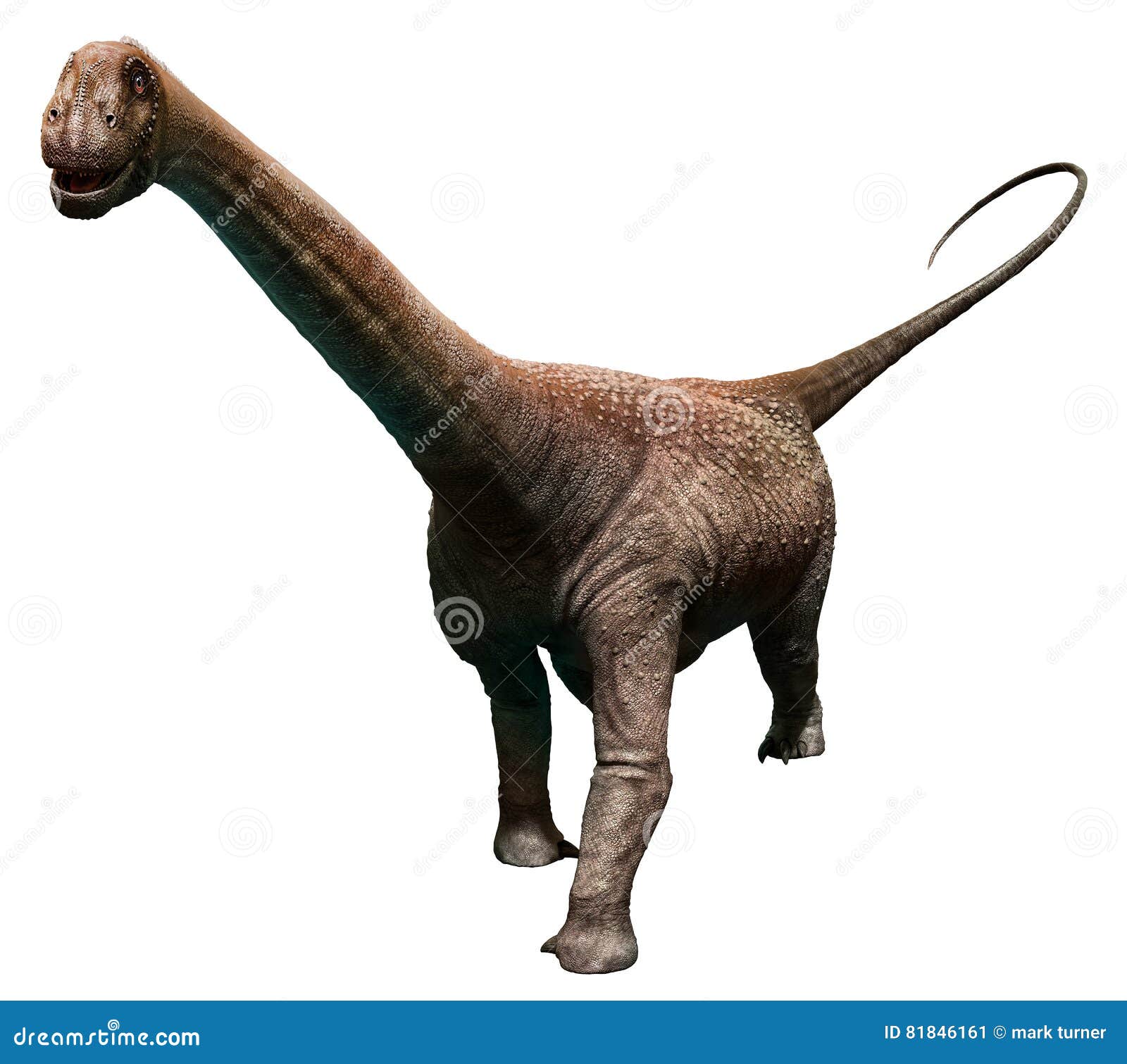Malawisaurus stock illustration. Illustration of large - 81846161