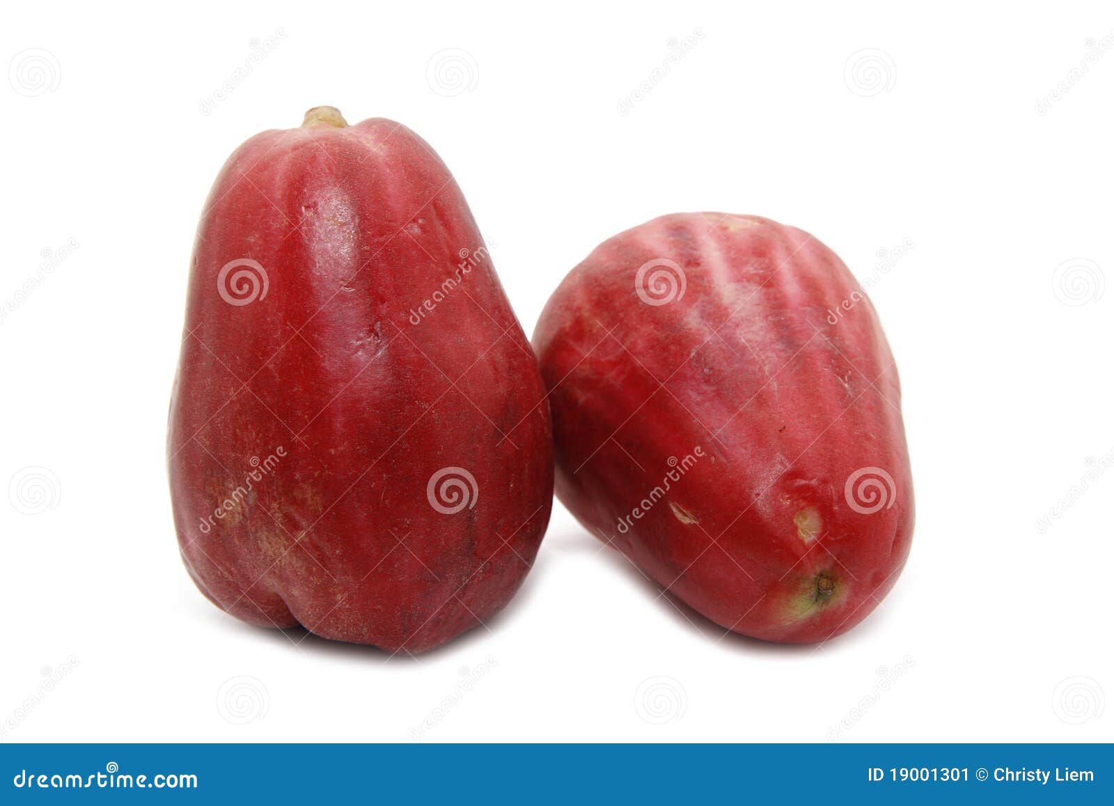 Malay Apple Syzygium Malaccense Isolated On White Background. Jambu ...