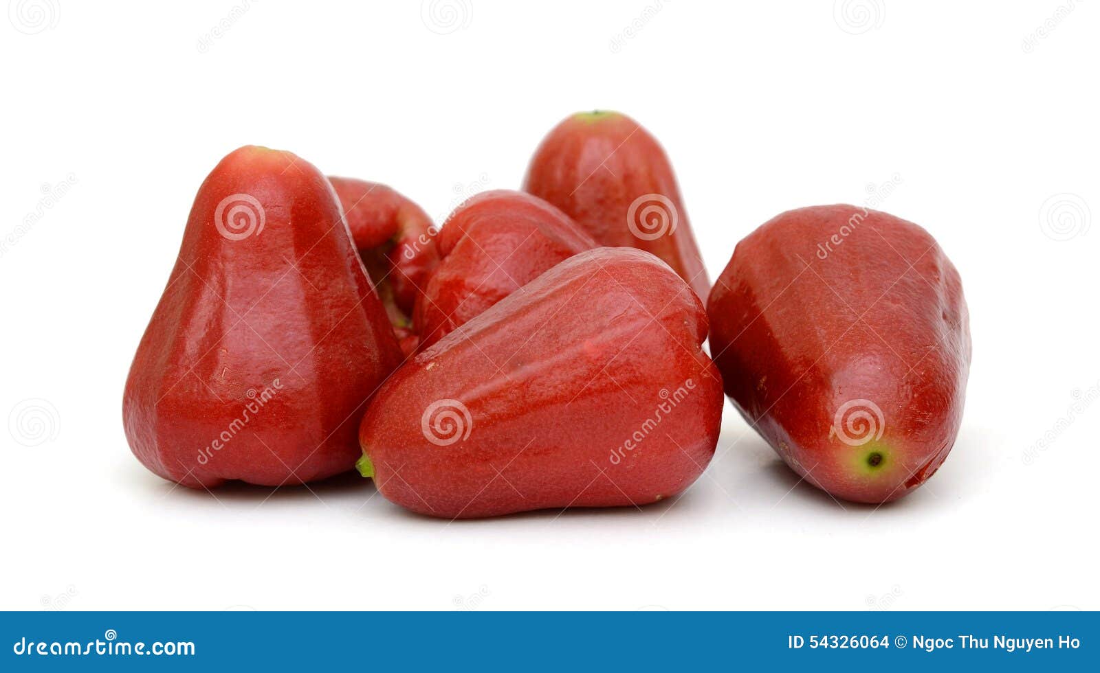 Malay Apple or Syzygium Malaccense Stock Photo - Image of flavor, close ...