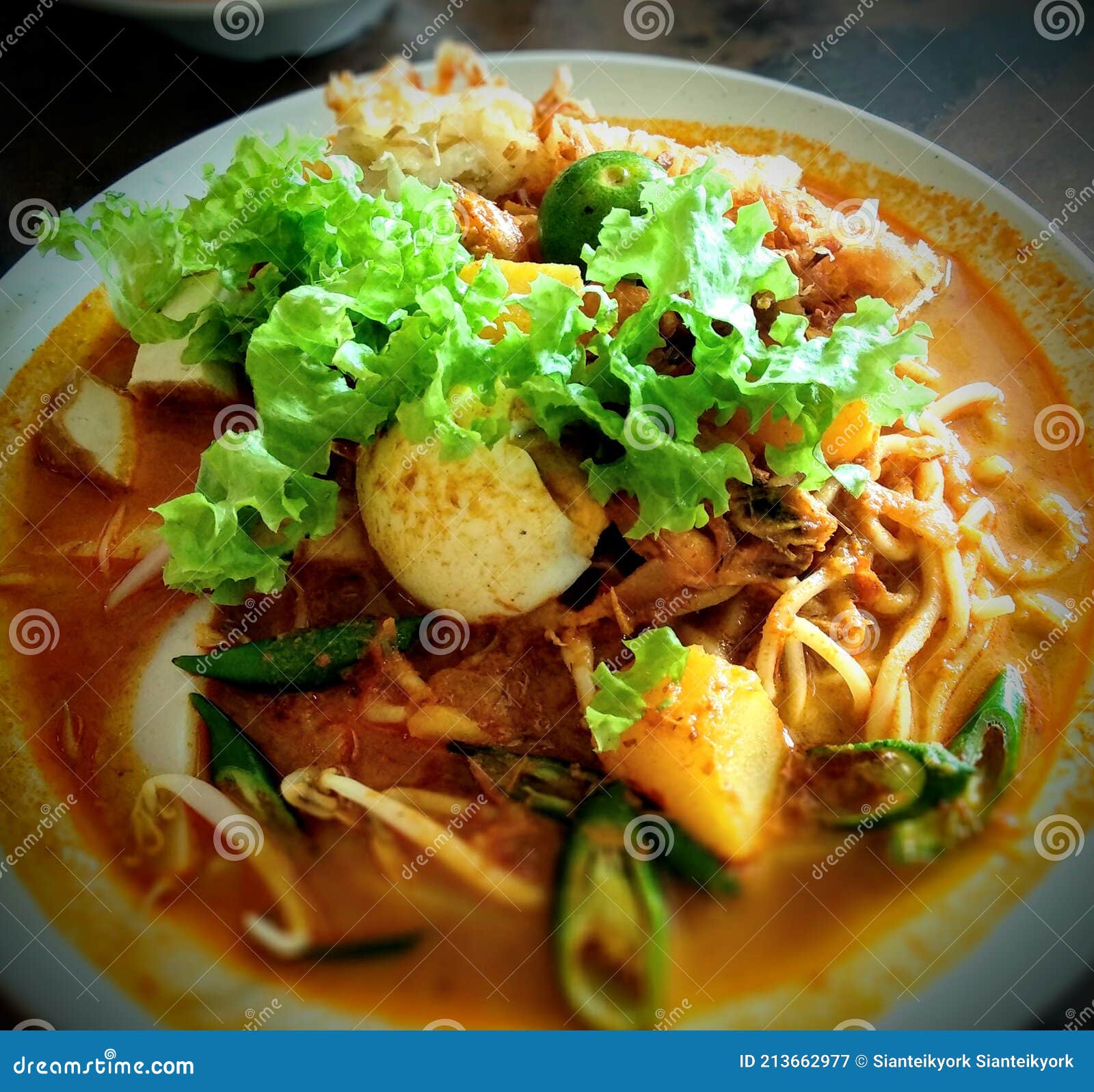 Malay mee stock image. Image of malay, dish, noodle - 213662977