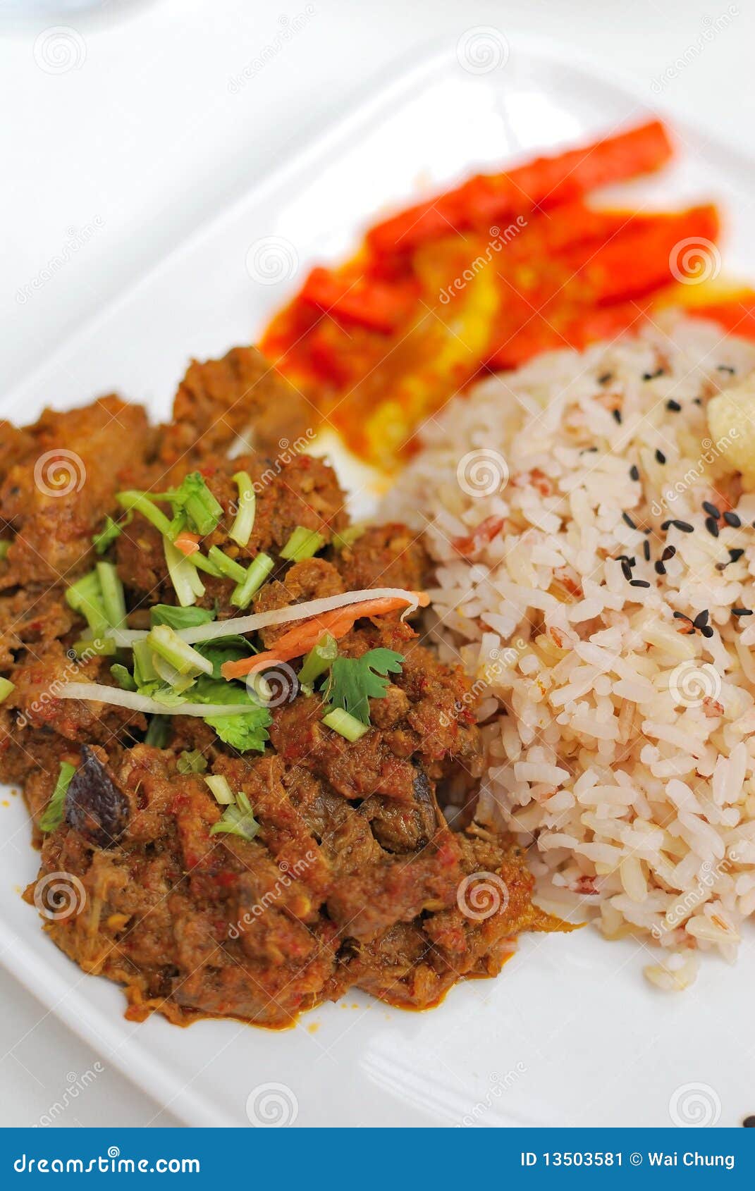 Malay Vegetarian Rendang Chicken or Mutton Rice Stock Image - Image of ...