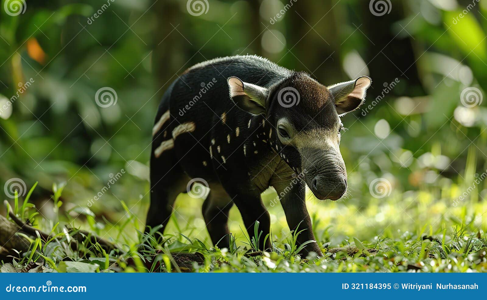 The Malayan Tapir Tapirus Indicus . Generative Ai Stock Illustration ...