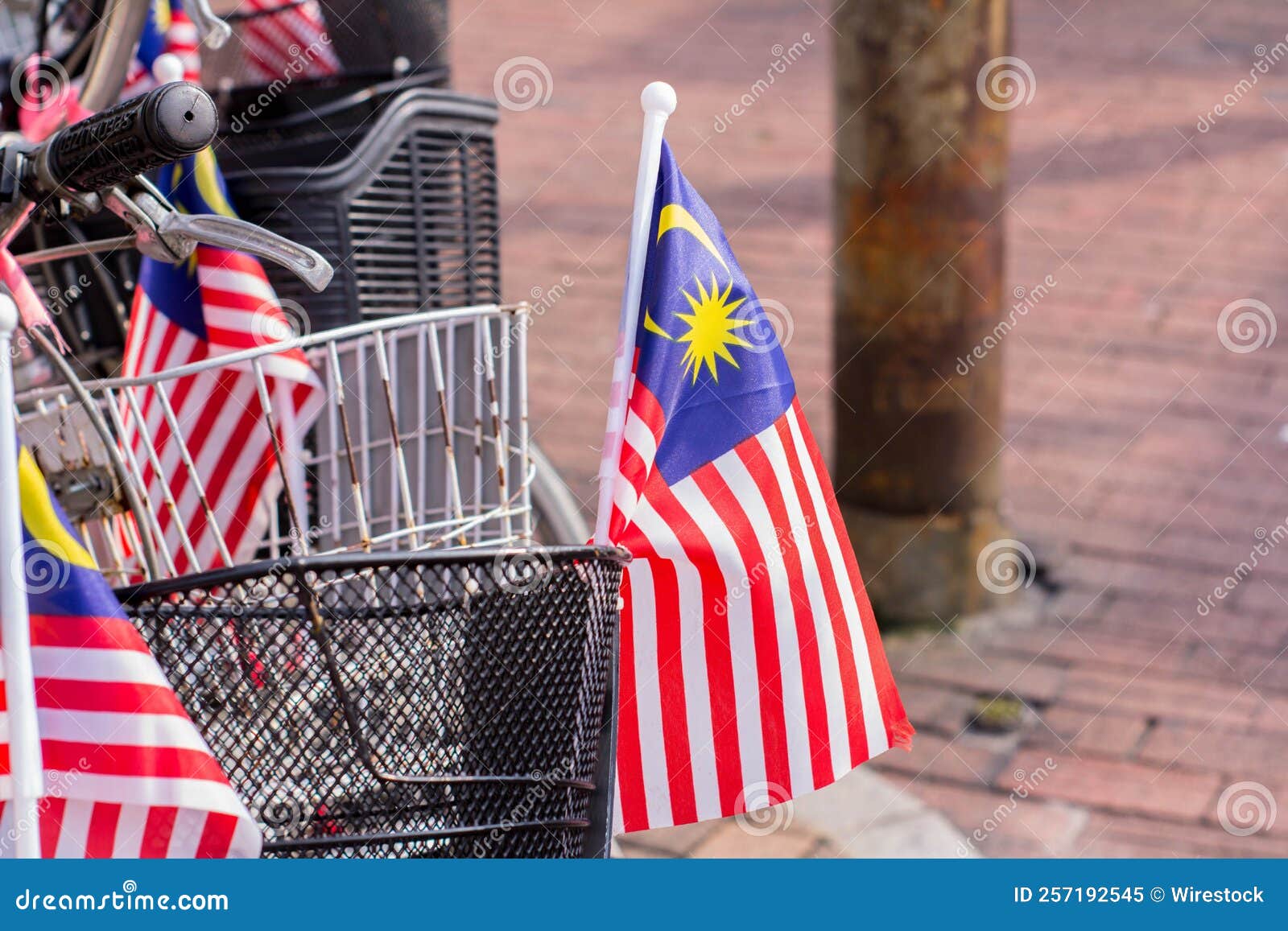 Malaysian Flags Hoisted on a Bicycle during the 64th Independence Day ...