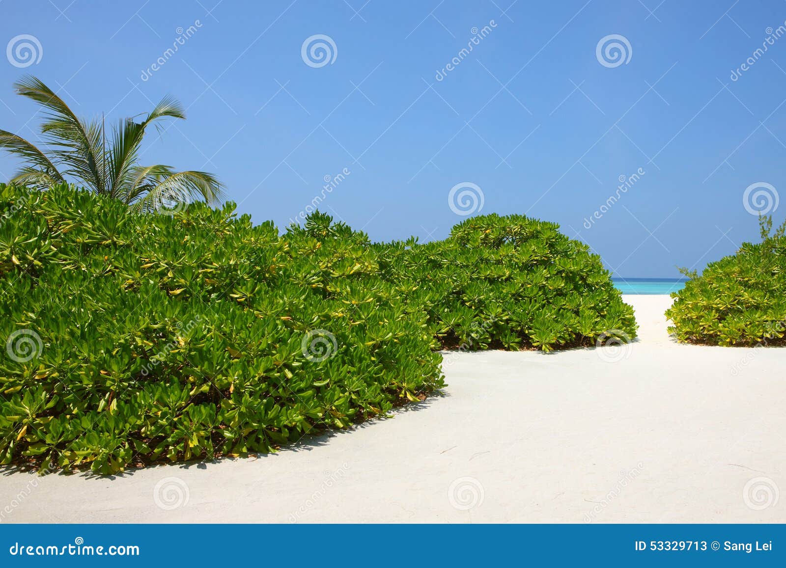 Maldives beach stock image. Image of beautiful, island - 53329713