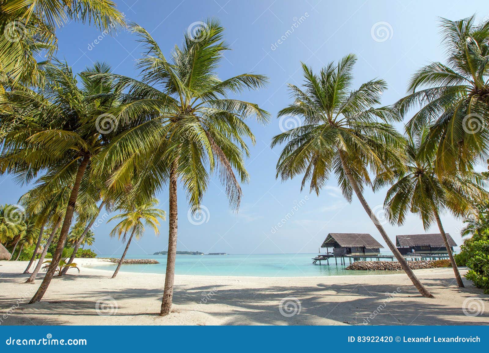 Maldives Beautiful Beach Landscape View Stock Photo - Image of beauty ...
