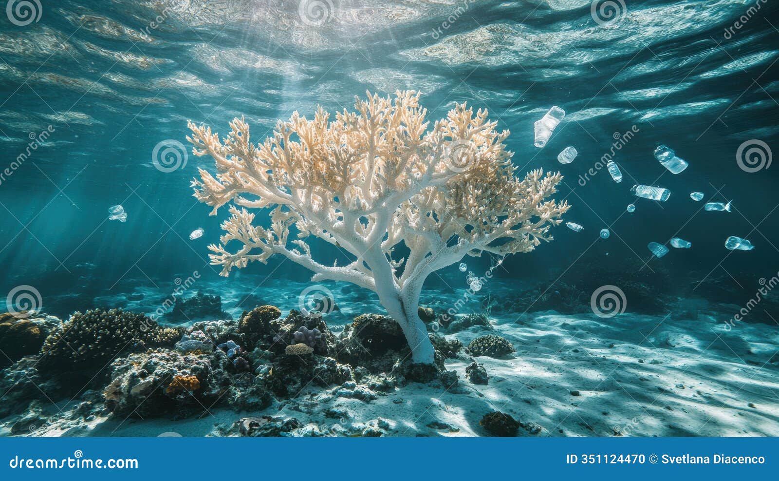 Maldives Coral Reefs Surrounded by Microplastics and Debris, Fragile ...