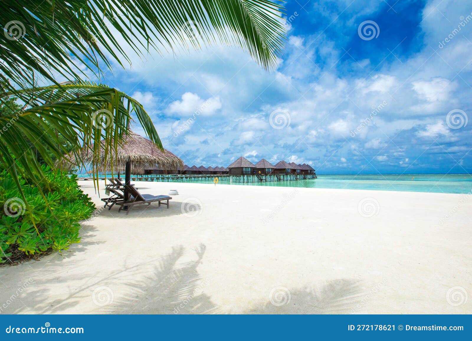 Maldives island with beach stock image. Image of landscape - 272178621
