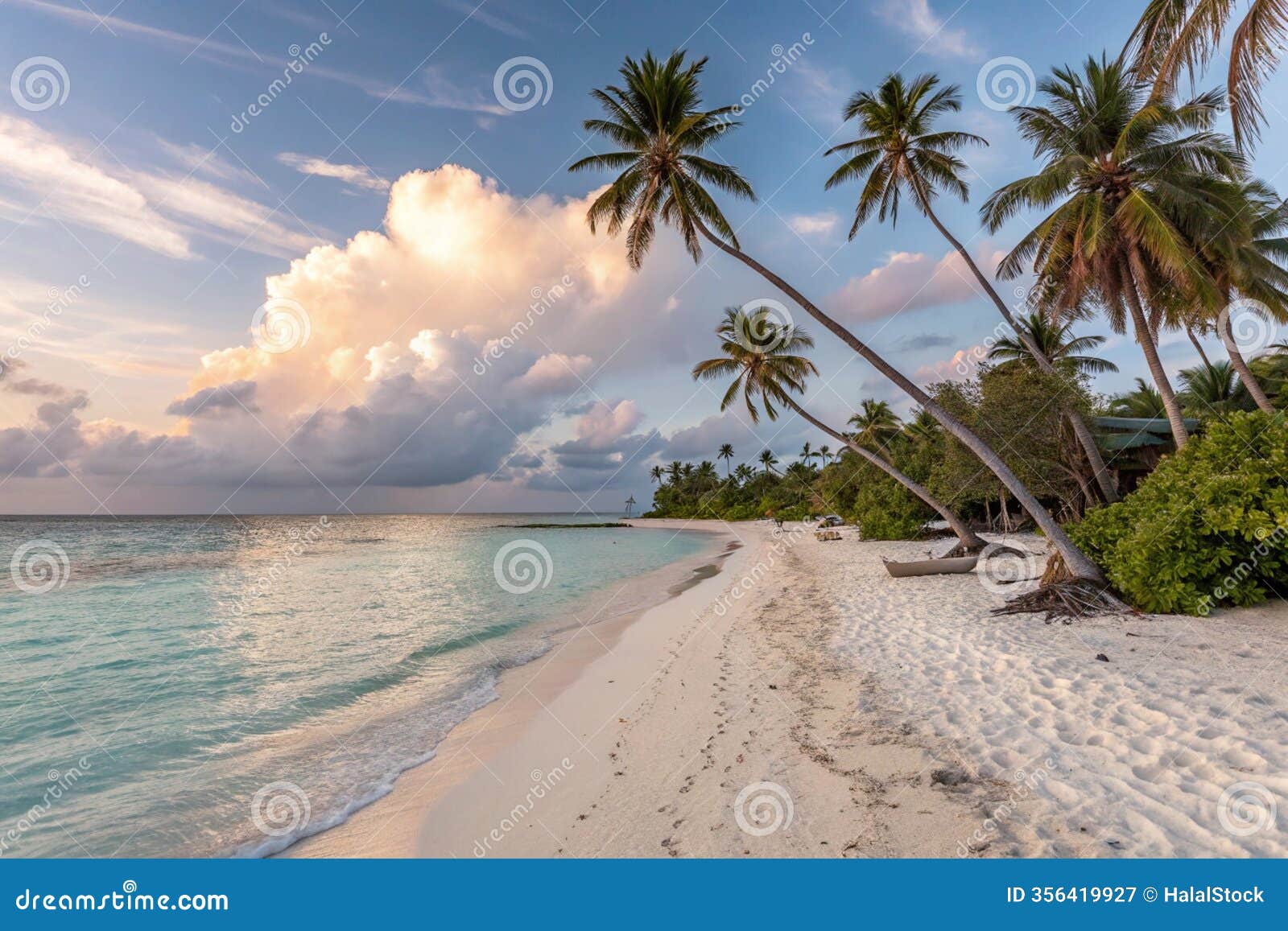 Maldives Islands Ocean Tropical Beach Stock Image - Image of clear ...