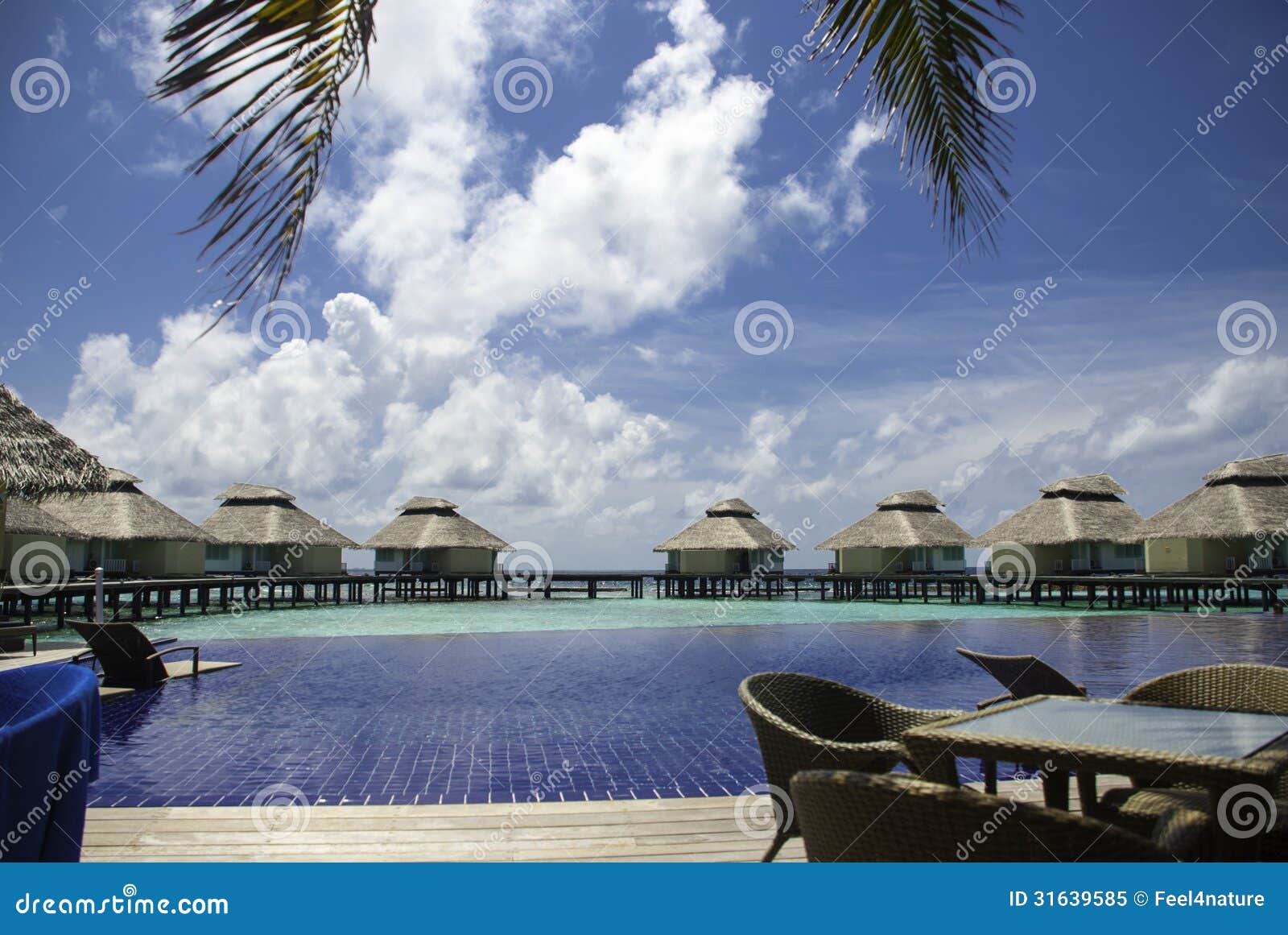 Pool Area Royalty-Free Stock Photography | CartoonDealer.com #6652331