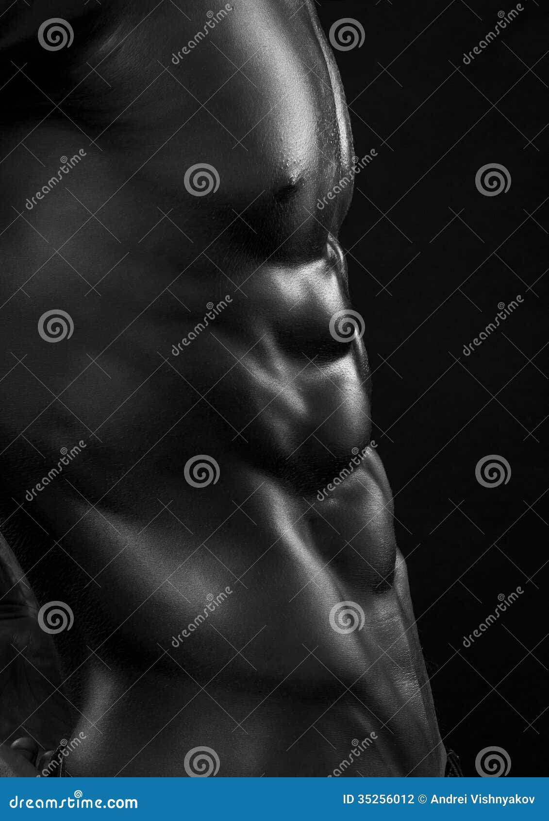 Male abs stock photo. Image of exercise, healthy, tummy - 35256012