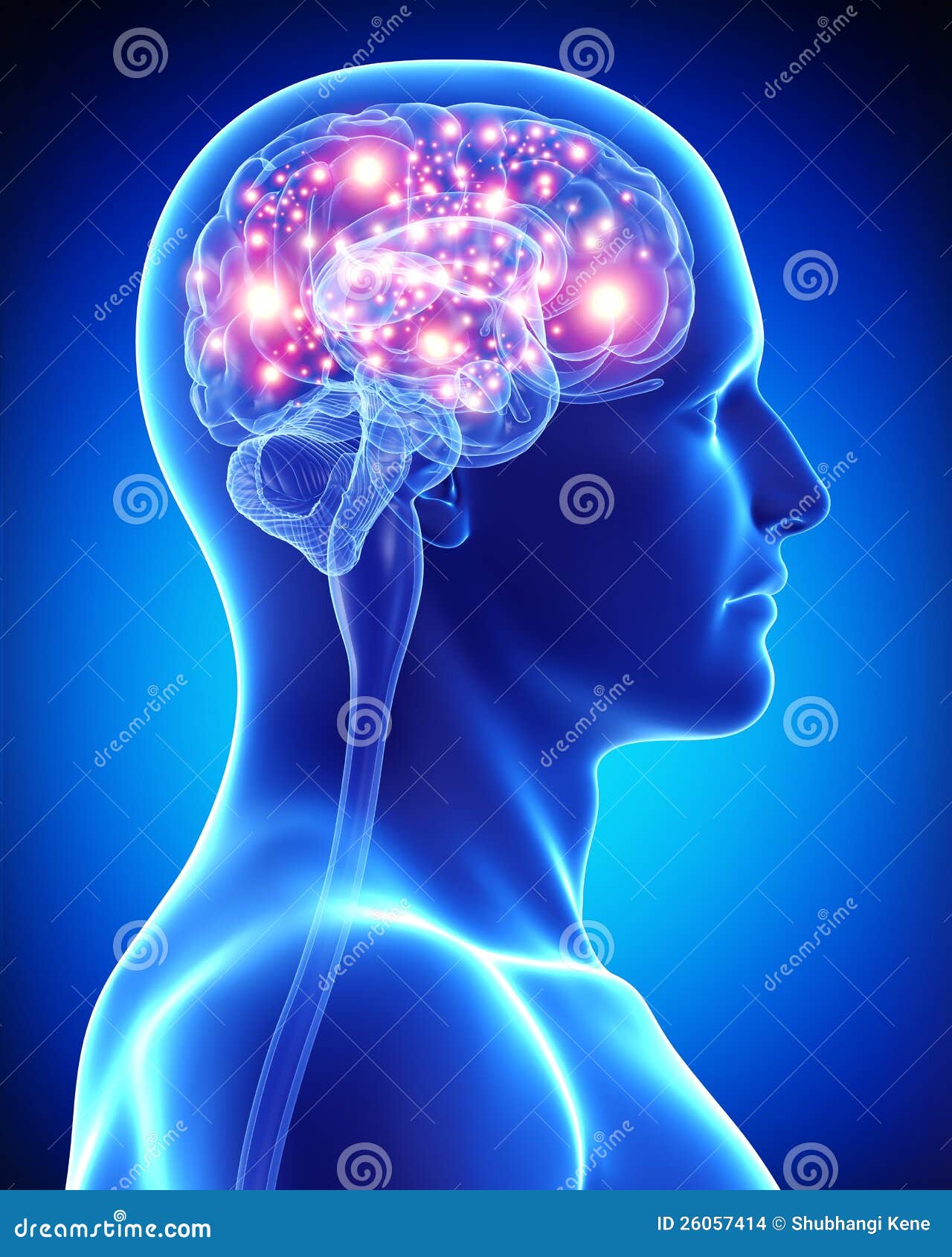 Male active brain stock illustration. Illustration of disease - 26057414