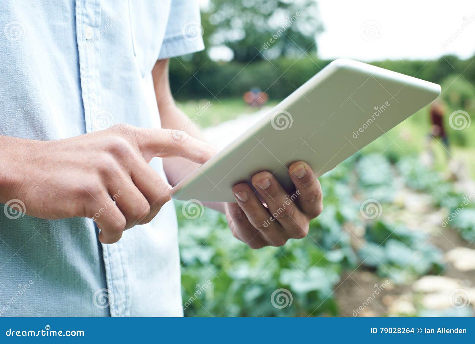 Male Agricultural Worker Using Digital Tablet in Field Stock Photo ...
