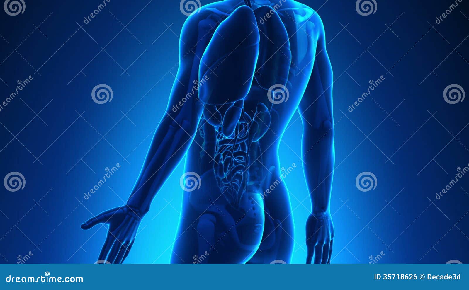 Male Anatomy - Human Gallbladder Stock Video Footage - Video of surgery ...