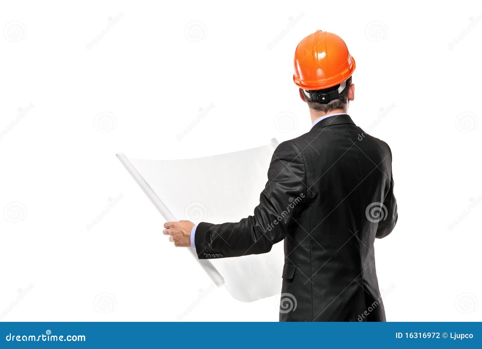 Male Architect Looking at Blueprints Stock Photo - Image of male ...