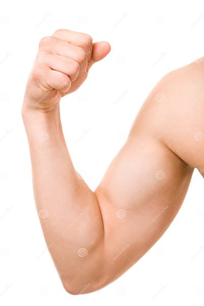Male arm stock photo. Image of masculine, lifting, activity - 12169878